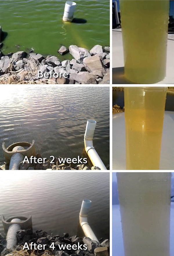 Large Farmer's Pack - Splosht