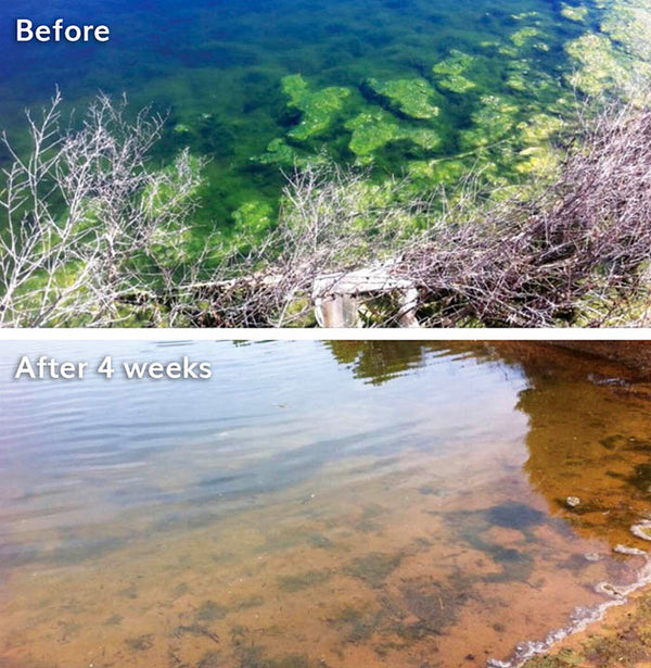 Large Farmer's Pack - Splosht